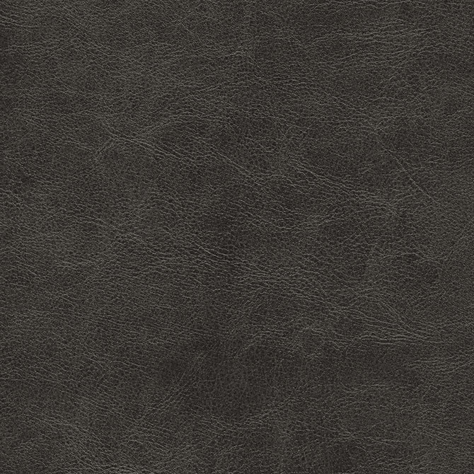 Lyon Fabrics – Sangetsu Goodrich Thailand