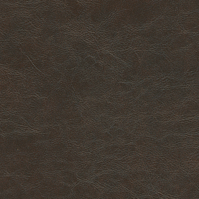 Lyon Fabrics – Sangetsu Goodrich Thailand