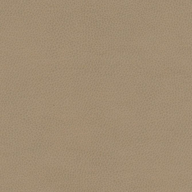 Nappa Fabrics – Sangetsu Goodrich Thailand