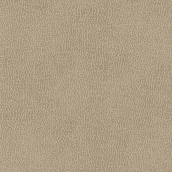 Nappa Fabrics – Sangetsu Goodrich Thailand