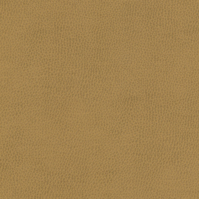 Nappa Fabrics – Sangetsu Goodrich Thailand