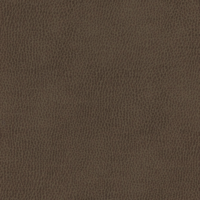 Nappa Fabrics – Sangetsu Goodrich Thailand