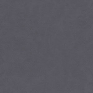 Argon Fabrics – Sangetsu Goodrich Thailand